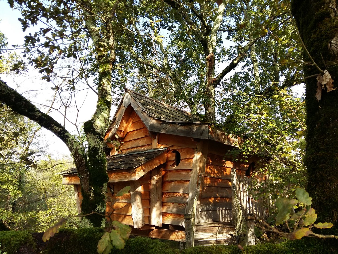 Cabanes dans les arbres et hébergements insolites à Labarthe
